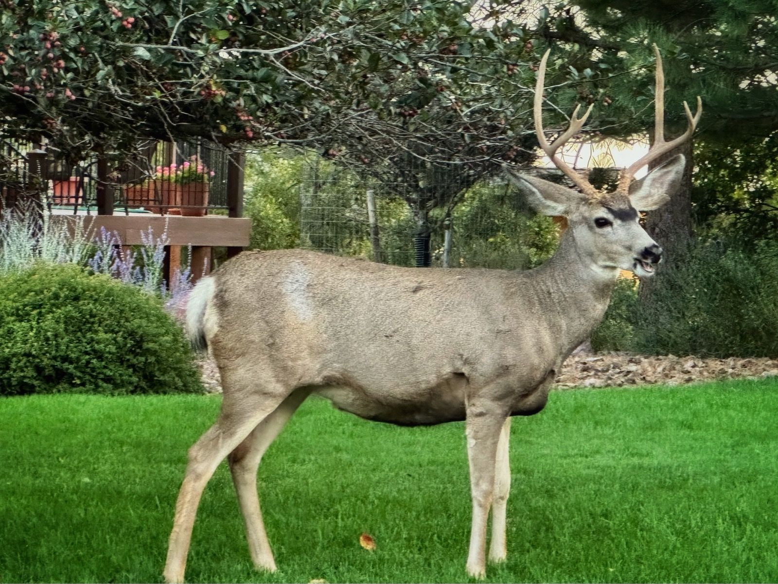 John Sudduth | Strava Runner Profile