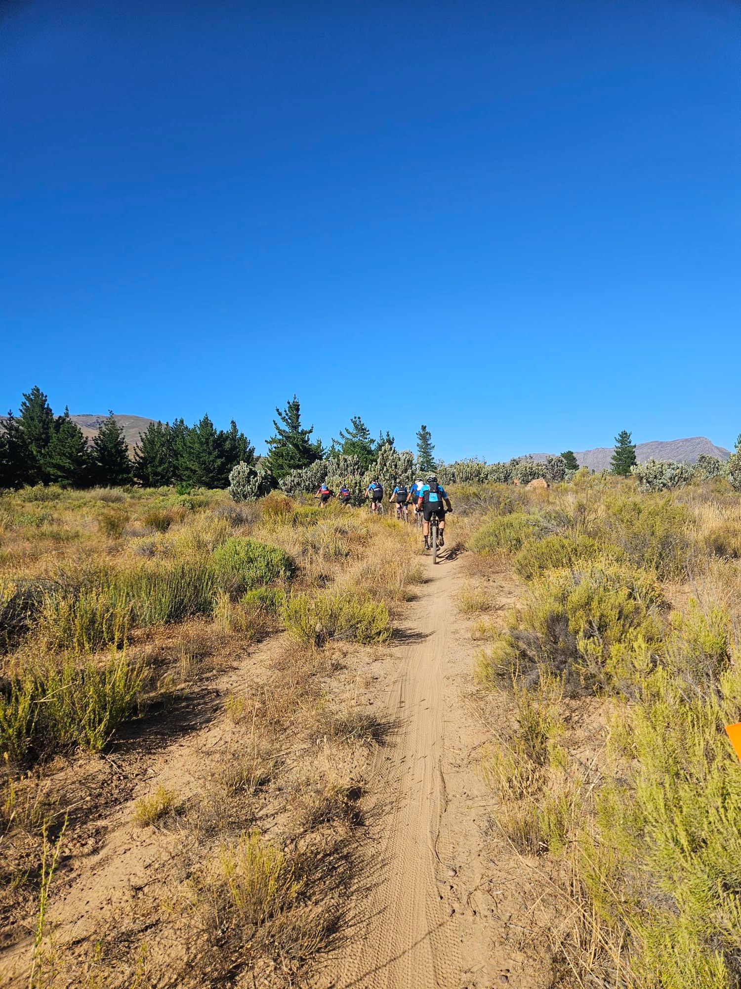 Marius Mostert 🇿🇦 (www.cyclingtours.co.za) | Strava 自行车手个人资料