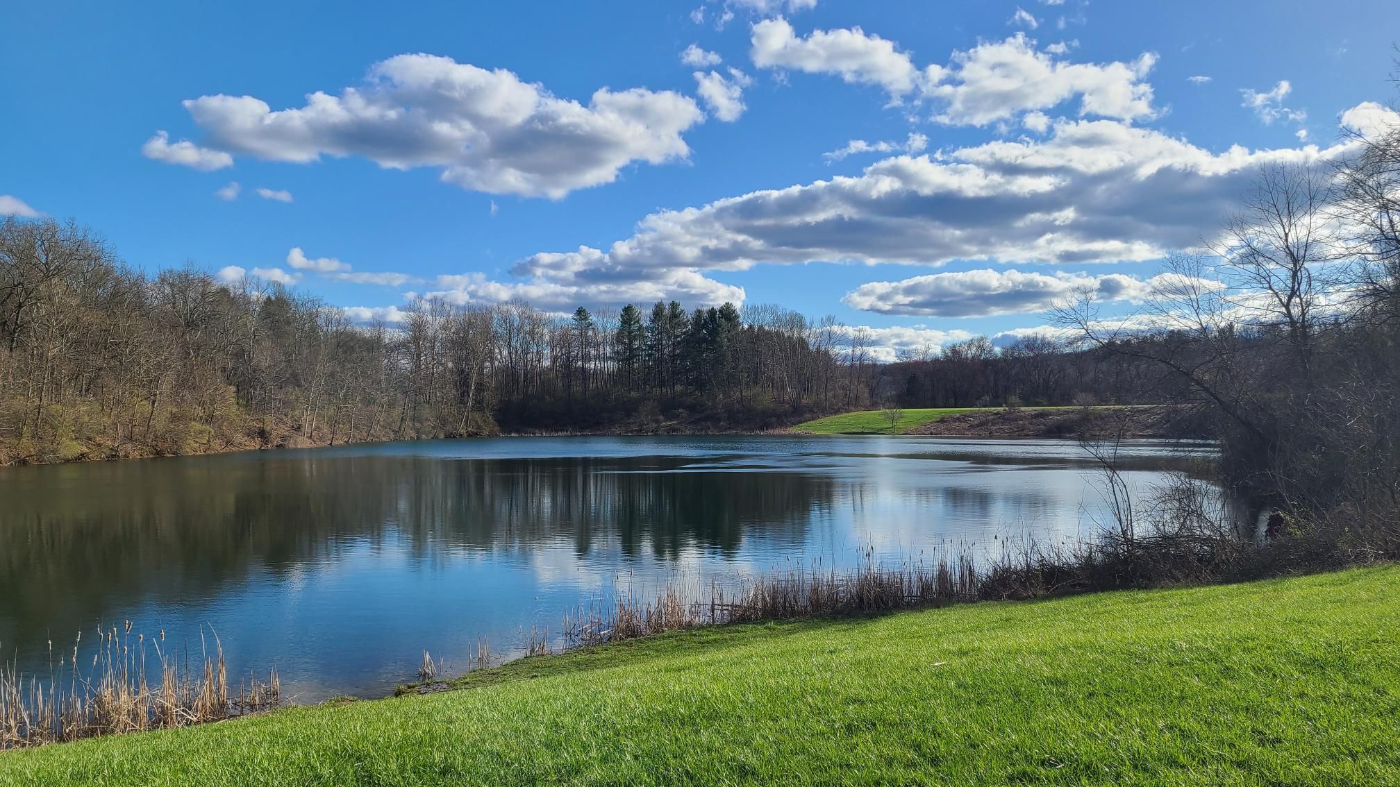 Gabriel Mardale | Profil de coureur Strava