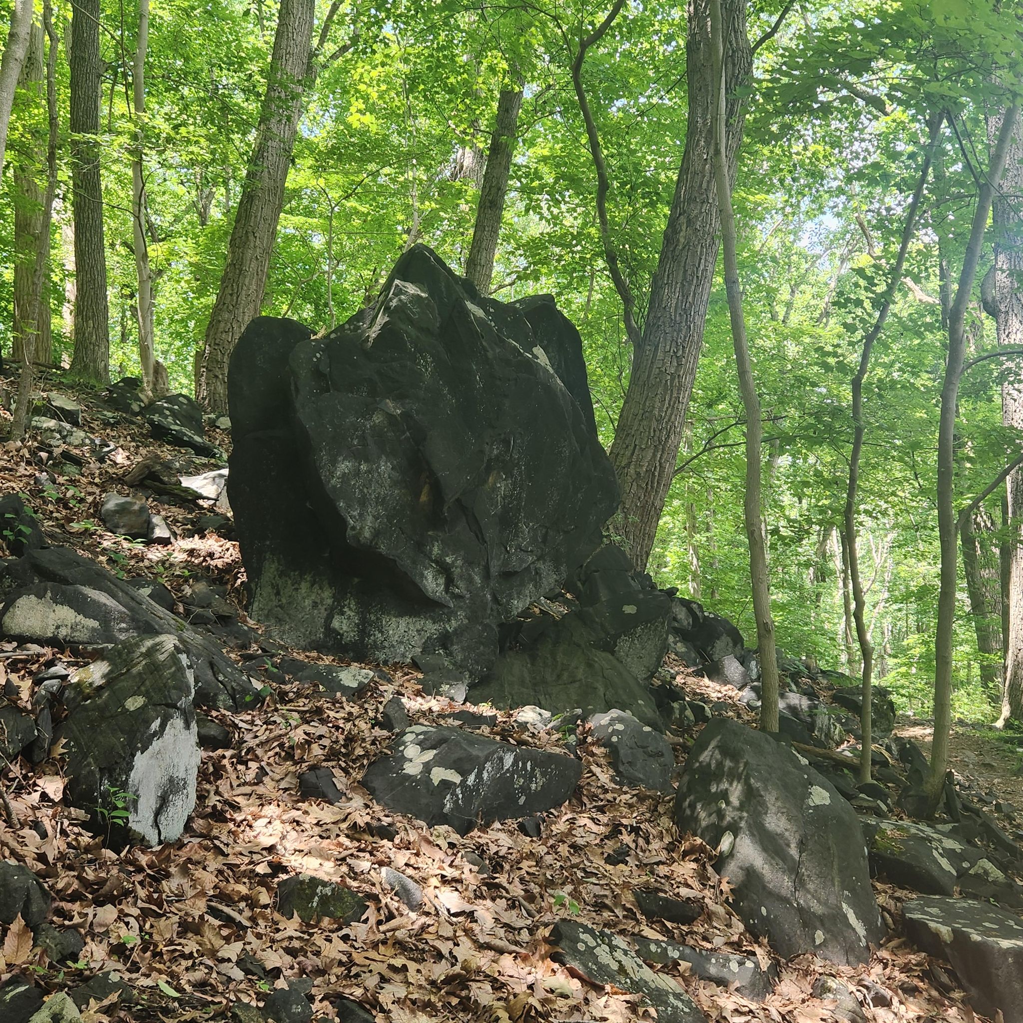 Tissa Strouse | Strava Runner Profile