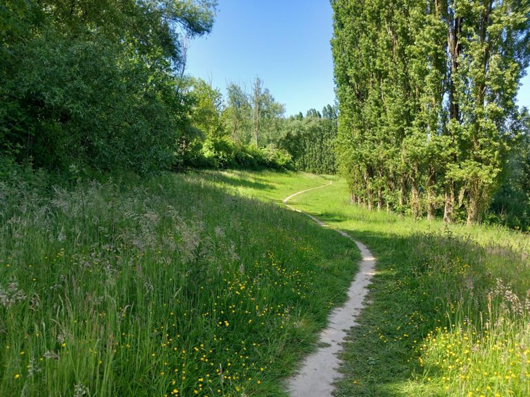 Duvel Kleine Toer | 86.9 km Cycling Route on Strava