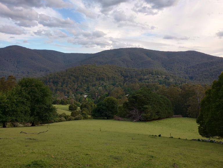 Mt Donna Buang Trails | 12.1 km Running Route on Strava