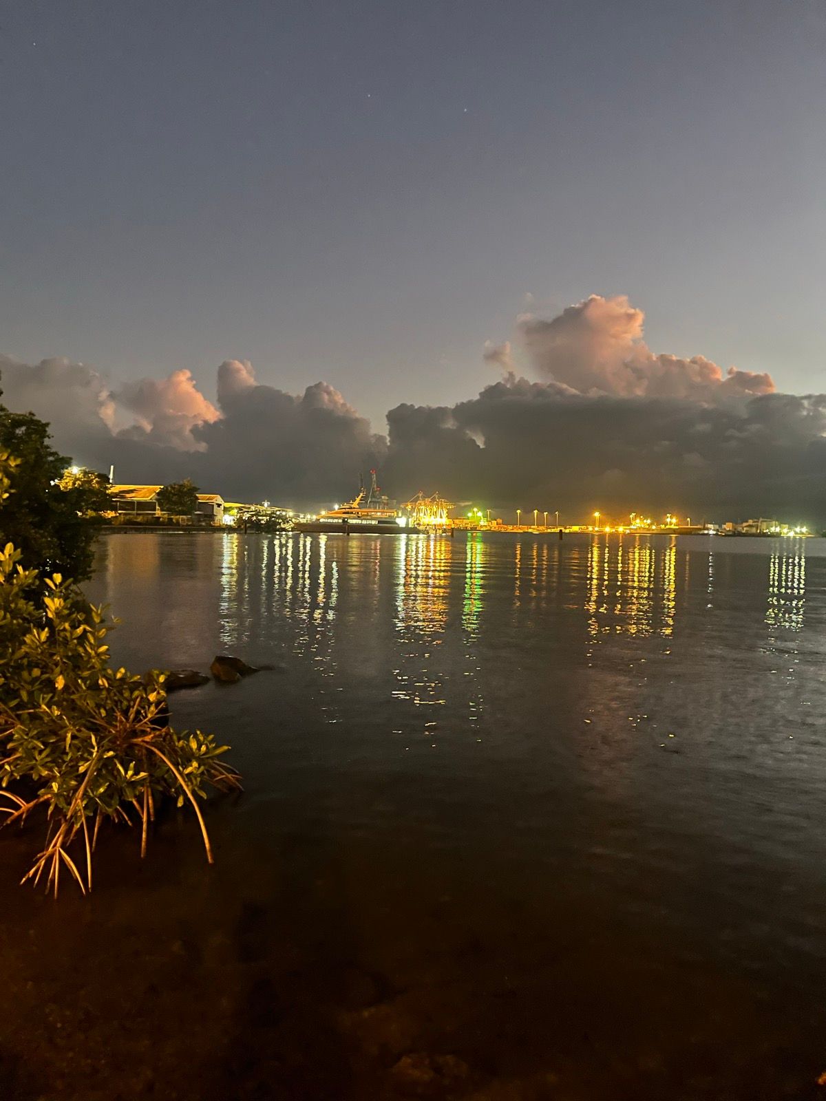 Déborah Bernier | Strava Runner Profile