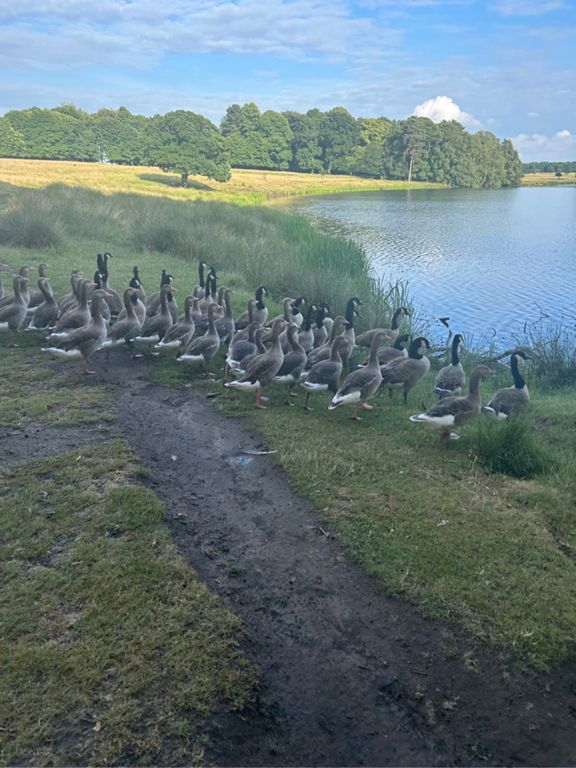 Tatton/Mereheath | 7.1 mi Cycling Route on Strava