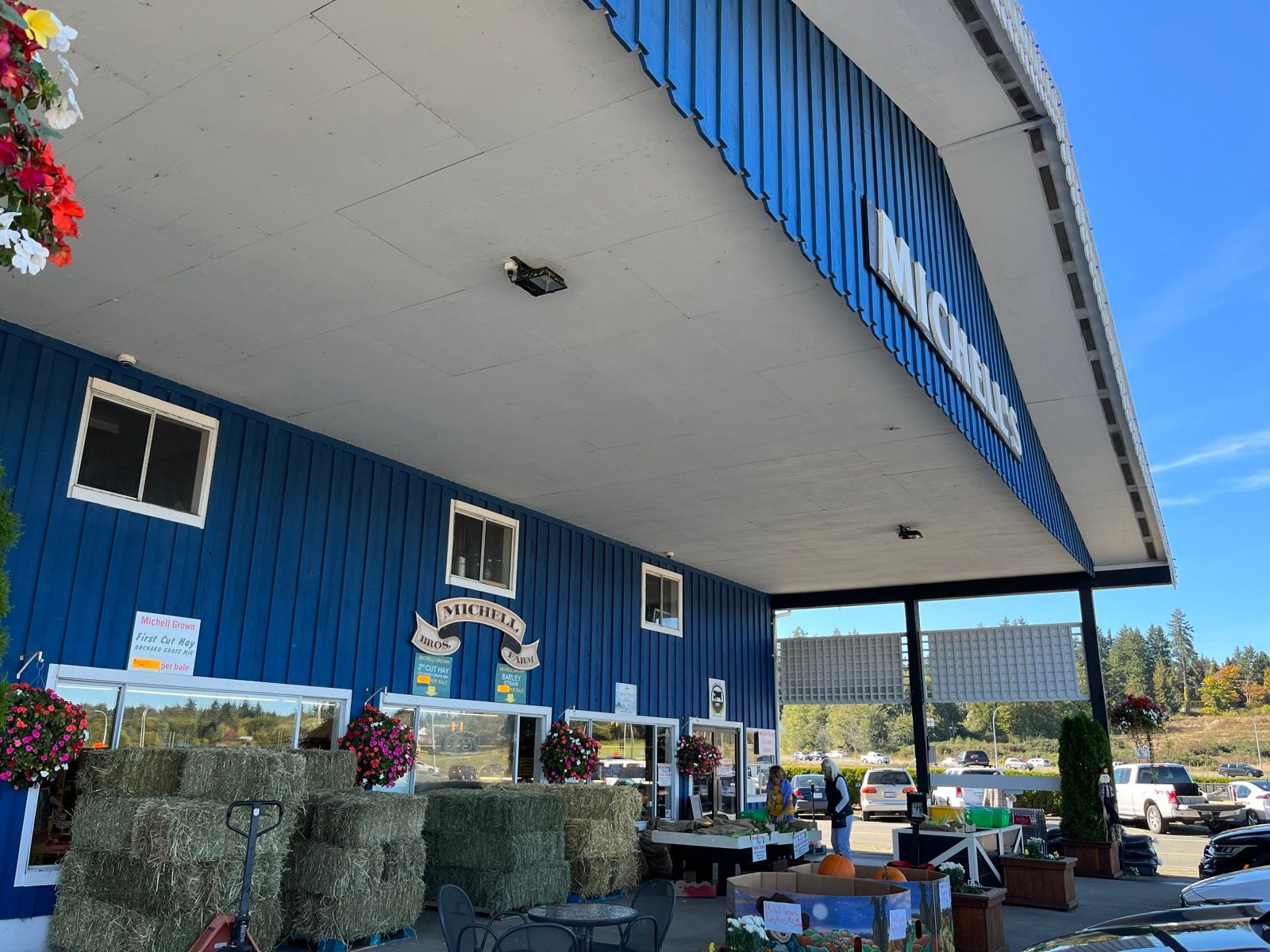 Ian MacKellar | Strava Cyclist Profile