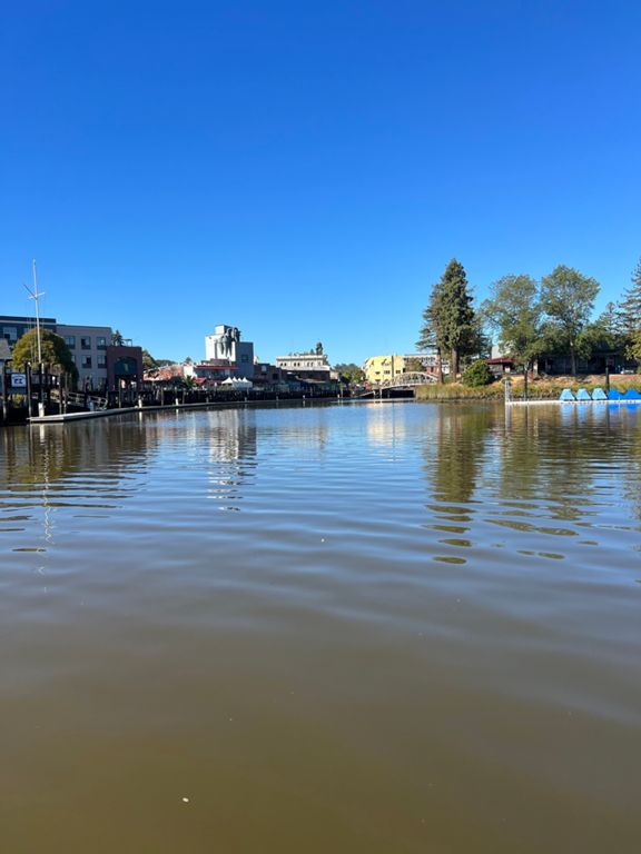 Pepper - Spring Hill loop | 28.4 mi Cycling Route on Strava