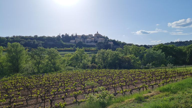 Bedoin - Carpentras - Vauqueras-Bedoin | 54.3 km Cycling Route on Strava