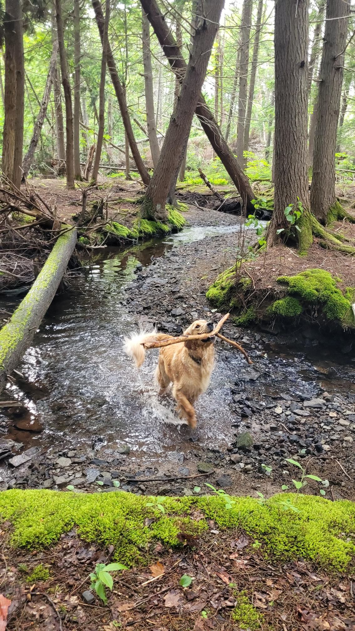 Alyssa Stewart | Strava Runner Profile