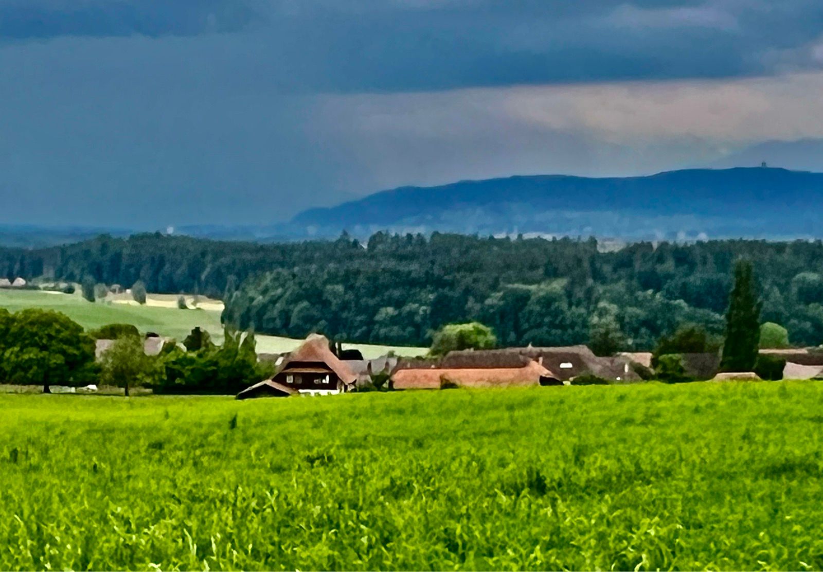 60.0 km Ride Activity on June 7, 2024 by Michael I on Strava