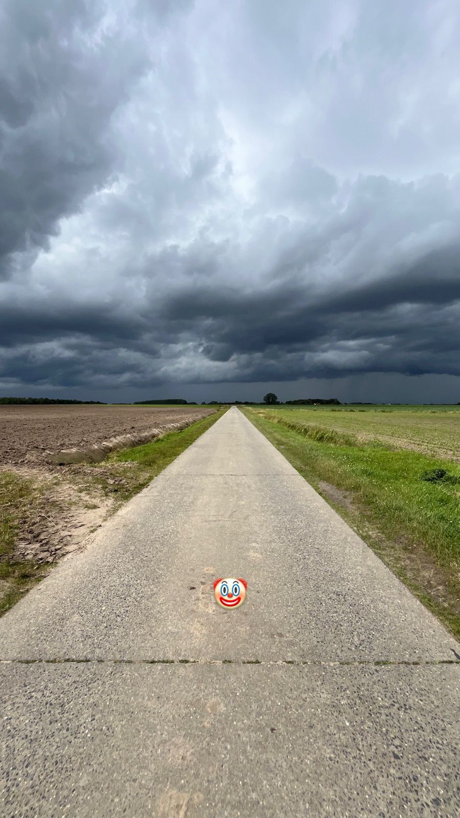 Jasper Heyman | Strava Cyclist Profile