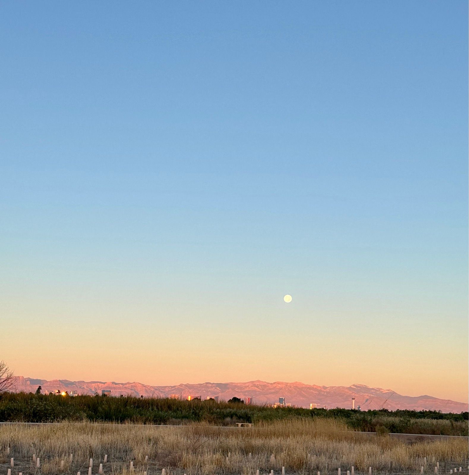 Donna Mize | Strava Runner Profile