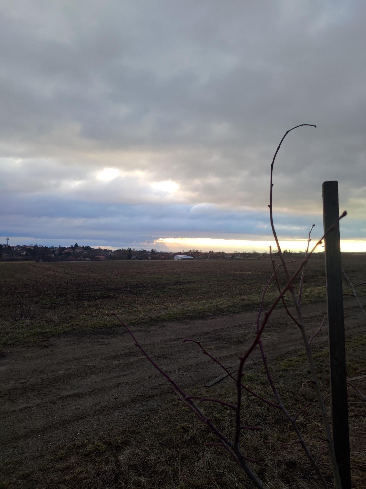 Miroslav Ruzicka | Strava Runner Profile