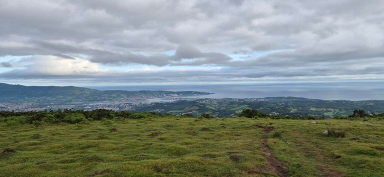 Morning Trail Run | 19.3 km Trail Running Route on Strava