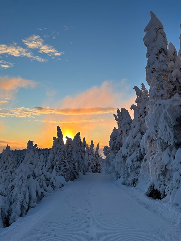 Witch's Hat | 0.0 mi Backcountry Skiing Route on Strava