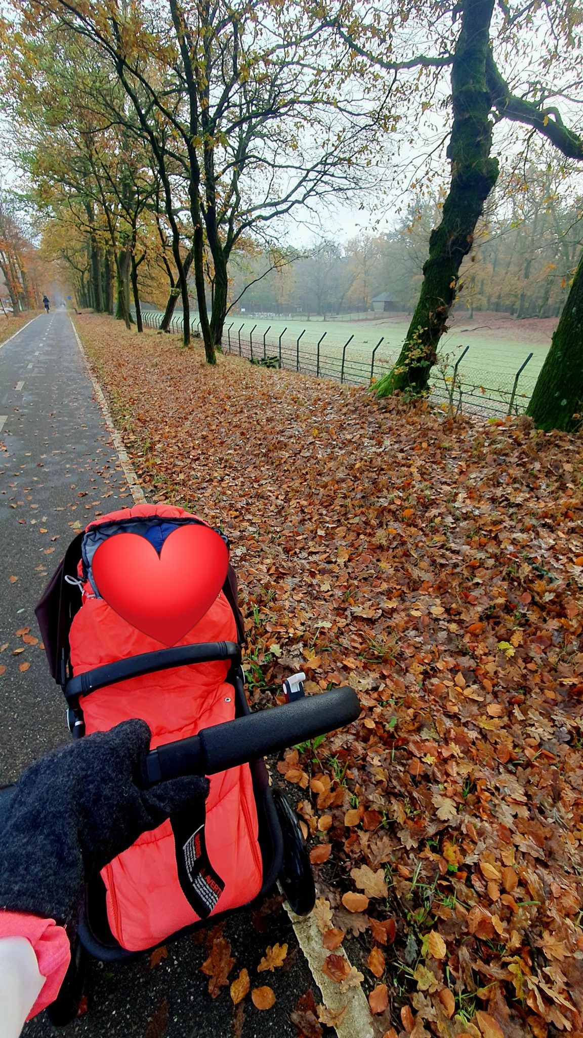 Mariette Kranendonk | Strava Runner Profile