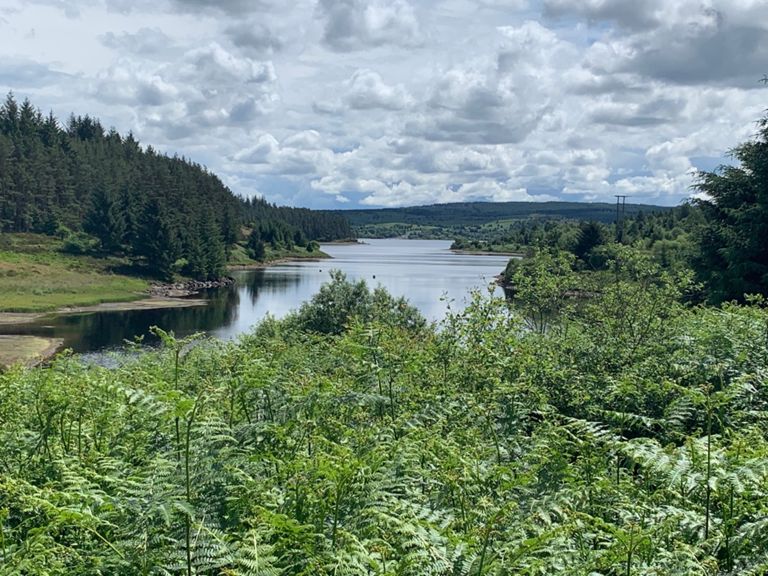 Appleby to Kielder | 78.2 mi Cycling Route on Strava