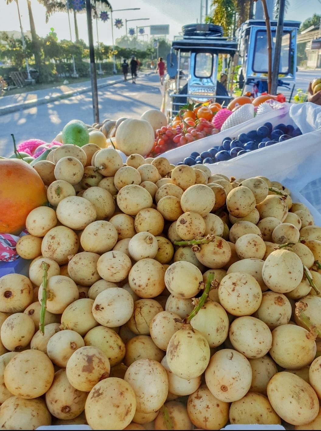 Jay Narciso | Strava Cyclist Profile