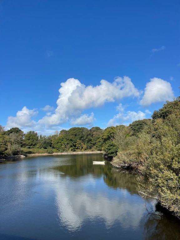 Inland 50k: St Caths - L'Etacq | 31.6 mi Running Route on Strava