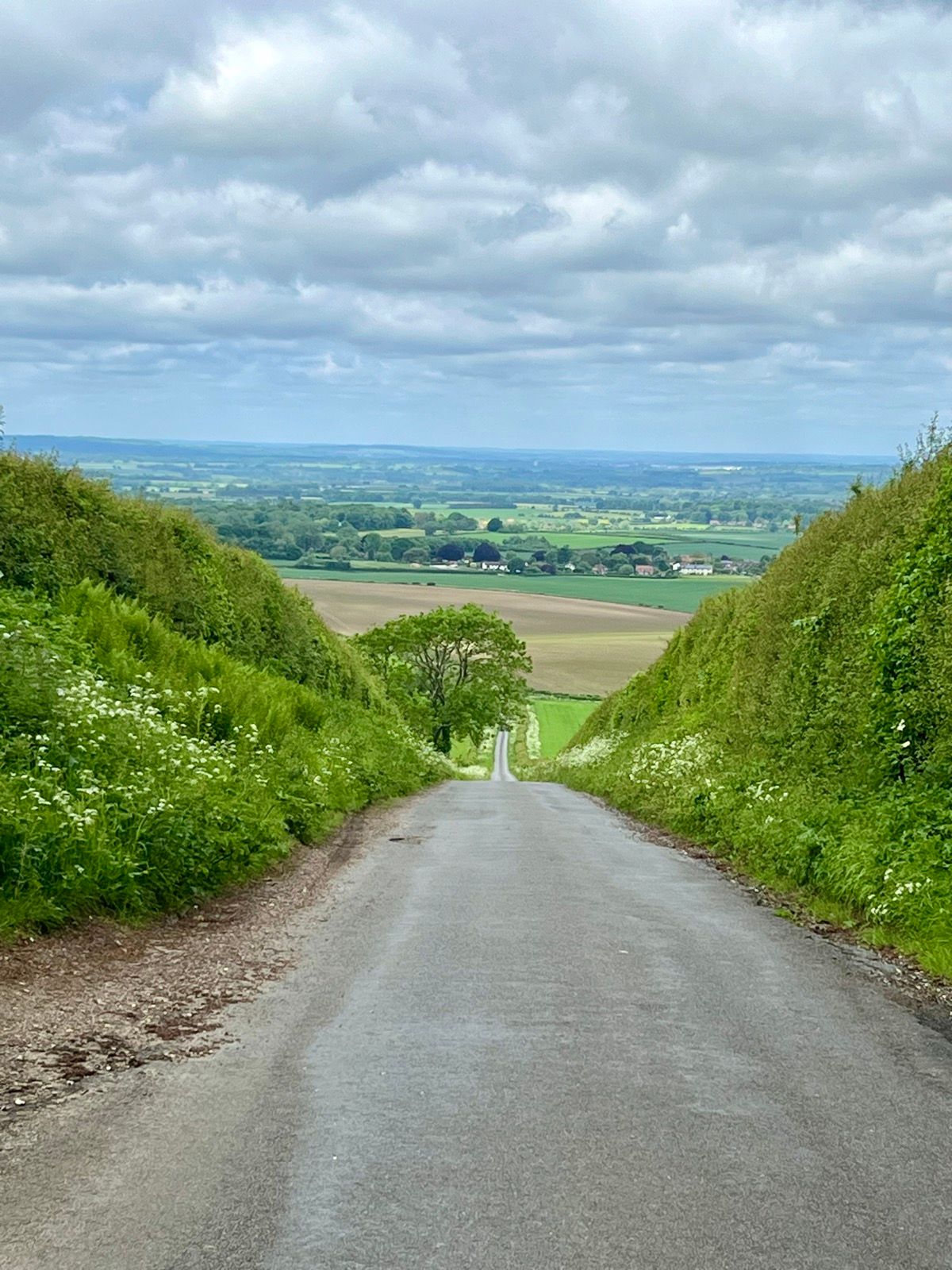 Simon Bromfield 🇺🇦 | Strava Cyclist Profile