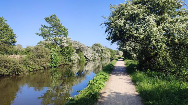 gargrave sharp haw canal loop | 8.7 mi Running Route on Strava