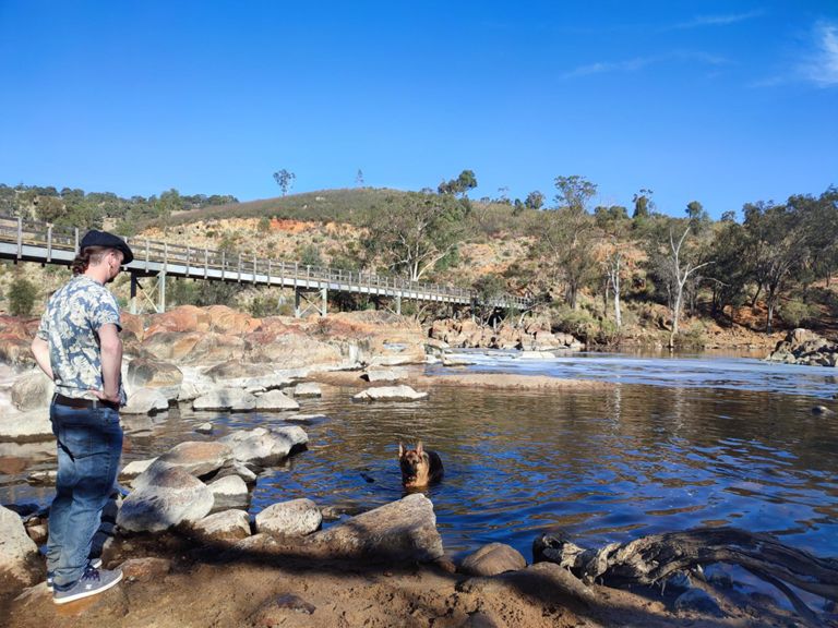 Transcend Runners Route - 65km | 64.8 km Trail Running Route on Strava