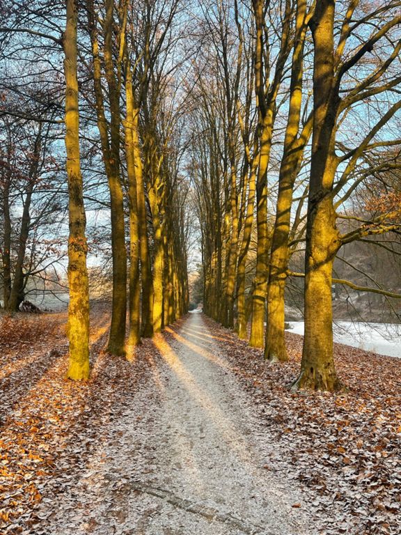 Wessel Maaike | 53.8 km Cycling Route on Strava