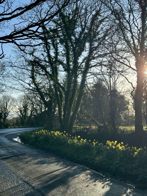 Alternative Leg 6 | 101.1 mi Cycling Route on Strava