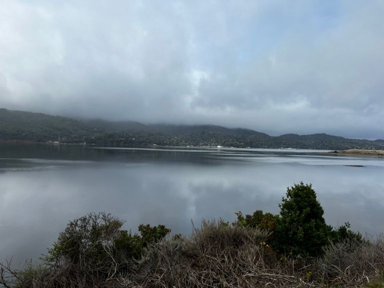 Petaluma Loop | 83.2 mi Cycling Route on Strava