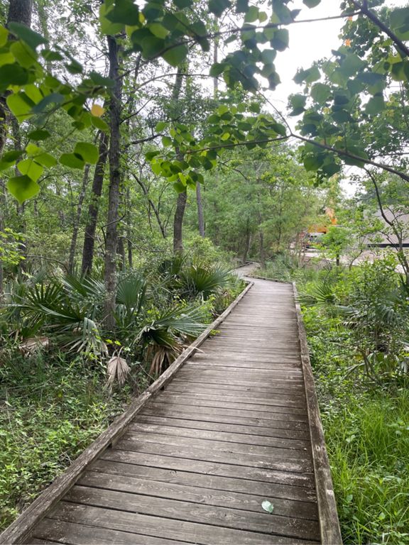 spring to r3 33 ride via river plantation | 75.6 mi Cycling Route on Strava