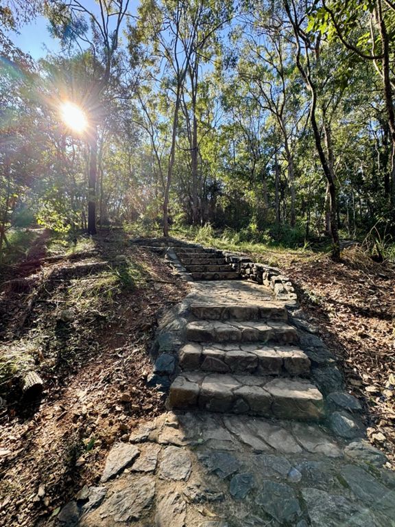 BLACK SHEEP 8km map | 8.2 km Running Route on Strava