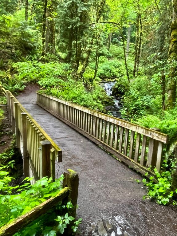 Tryon Creek Loop | 5.9 mi Cycling Route on Strava