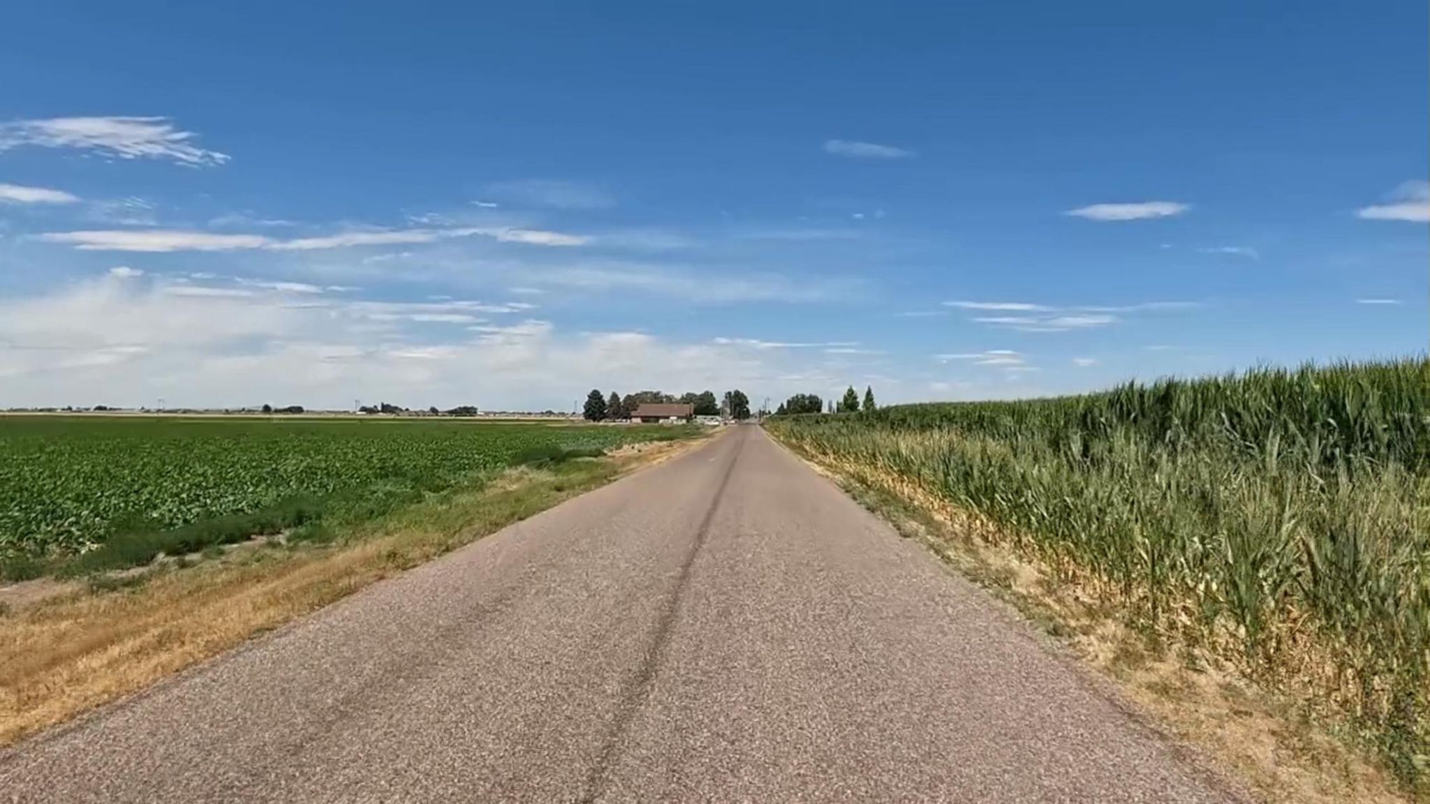 Jen Aspesi | Strava Cyclist Profile