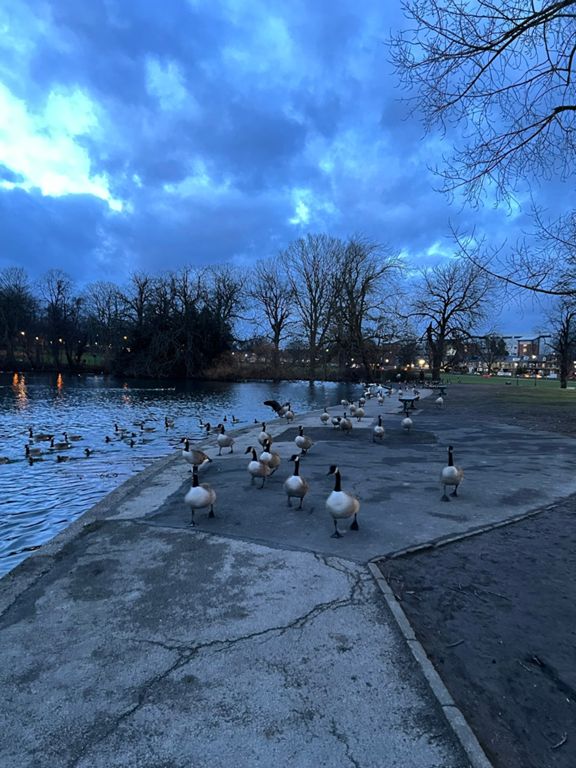 7 in 70s around Parsons Cross | 11.5 km Running Route on Strava