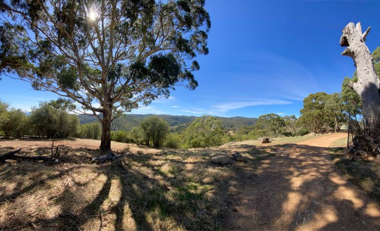 Bun Ride | 96.9 km Cycling Route on Strava