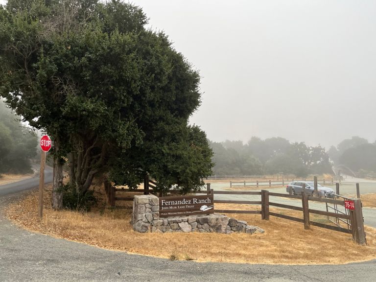 DirtKids - Fernandez Ranch | 5.4 mi Cycling Route on Strava