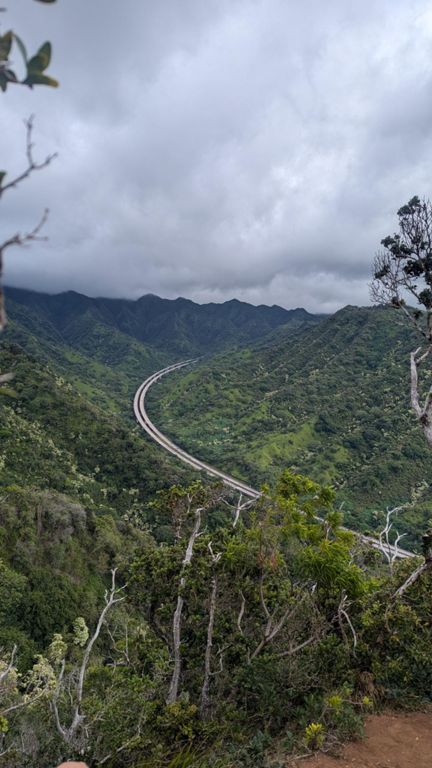 Aiea Loop Trail | 4.4 mi Hiking Trail on Strava