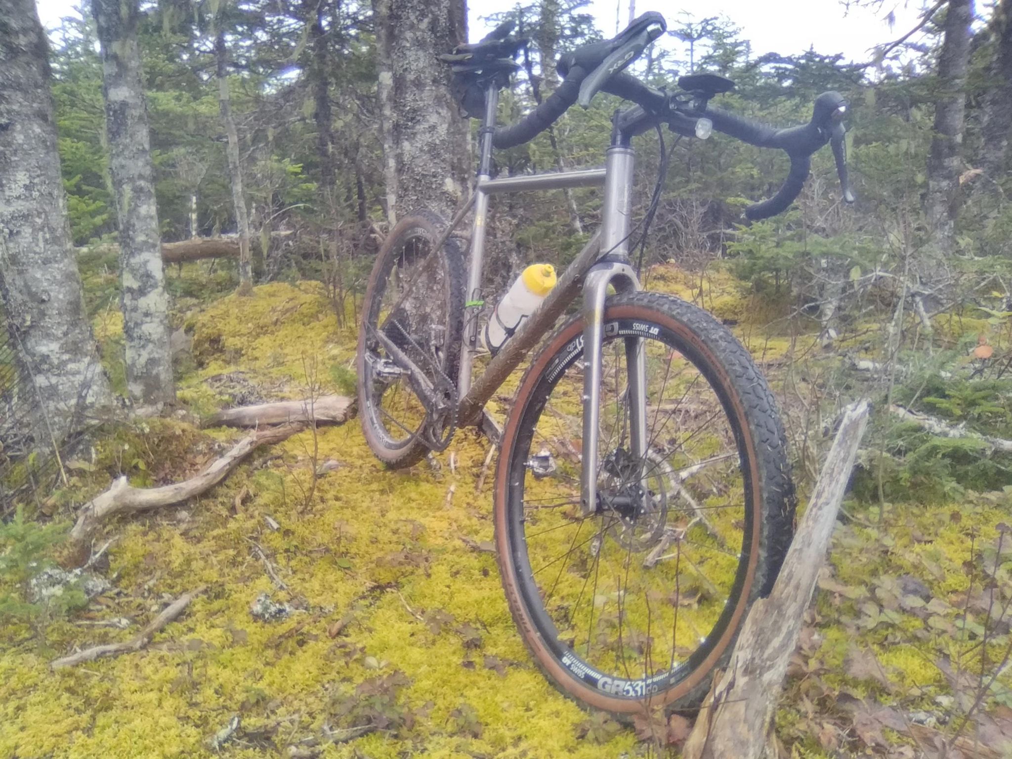 Sean Dawe | Strava Cyclist Profile