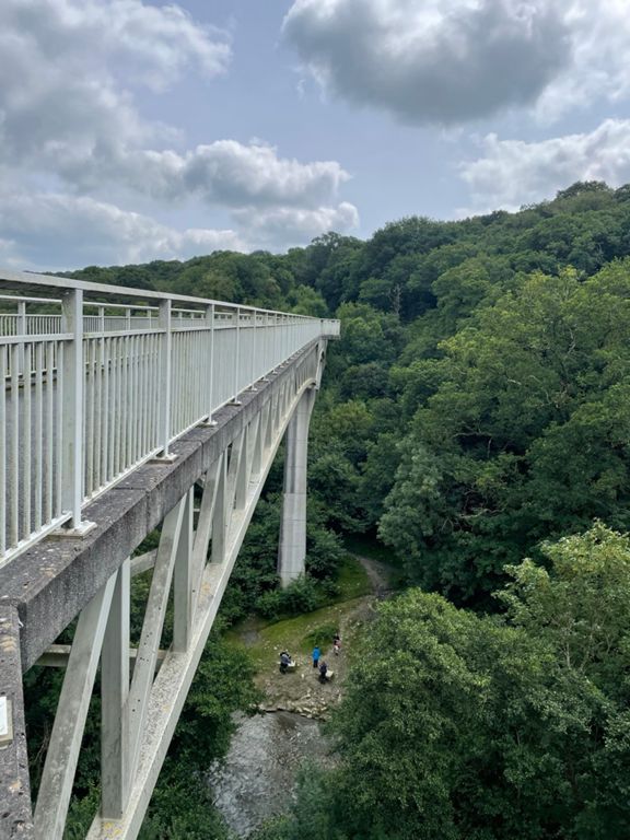 The boxing day Turkey burner | 29.9 mi Cycling Route on Strava