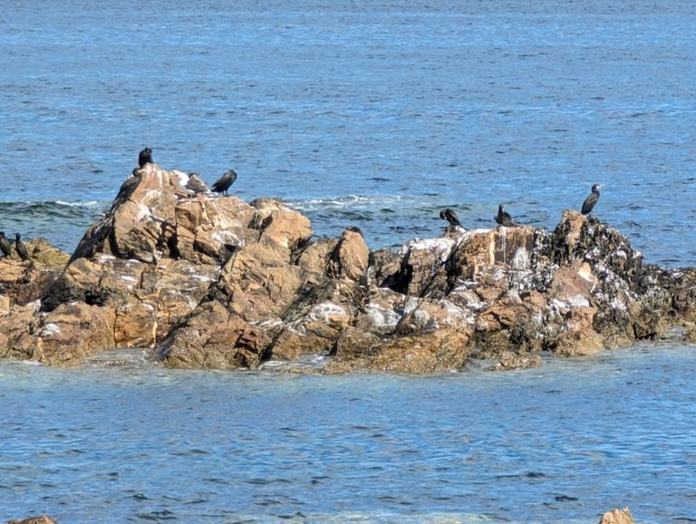 Turra Coo Audax | 311.8 km Cycling Route on Strava