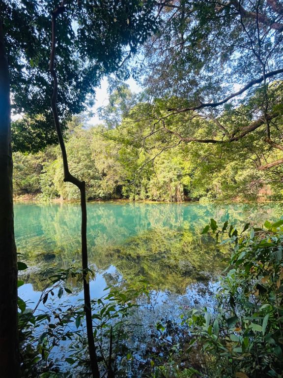 MacRitchie Reservoir Loop | 11.1 mi Running Route on Strava