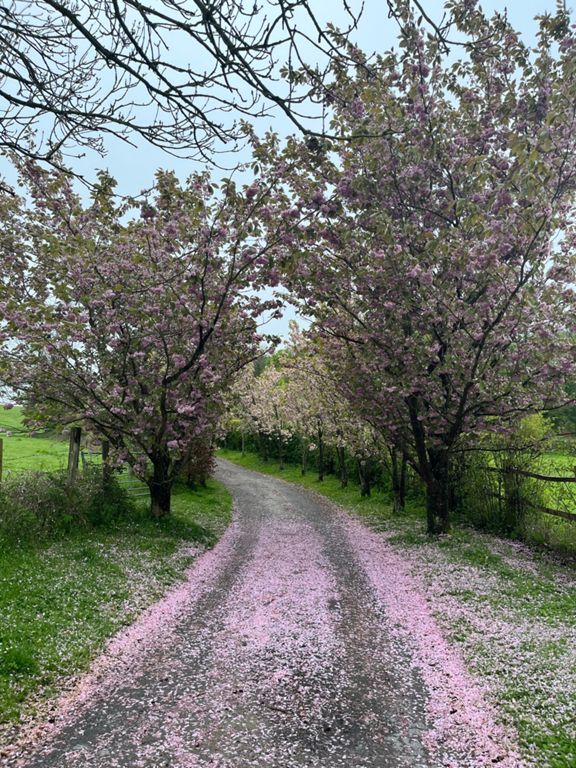 LWCC to Washbrooks | 50.0 mi Cycling Route on Strava