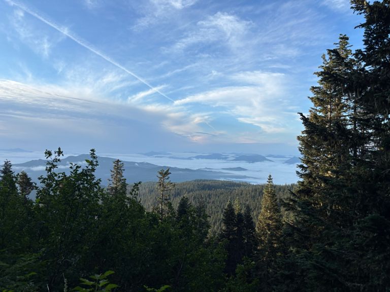 Mount St. Helens: Monitor Ridge Route | 8.5 mi Hiking Trail on Strava