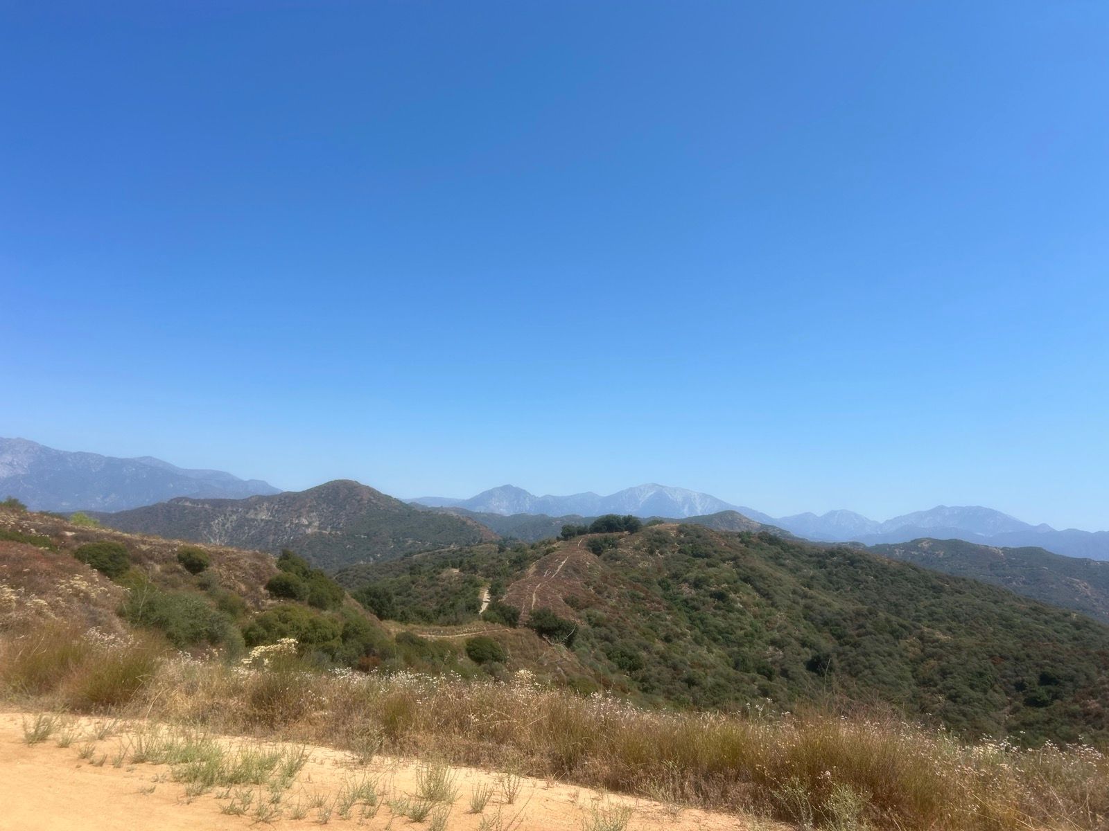 Justin Torres | Strava Runner Profile