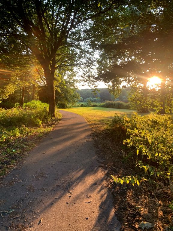 rondje rijswijk rotterdam | 53.2 km Cycling Route on Strava