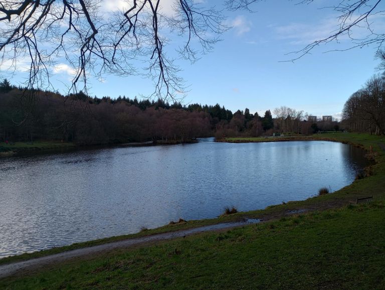 Falkirk Legal Walk | 5.1 km Trail Running Route on Strava