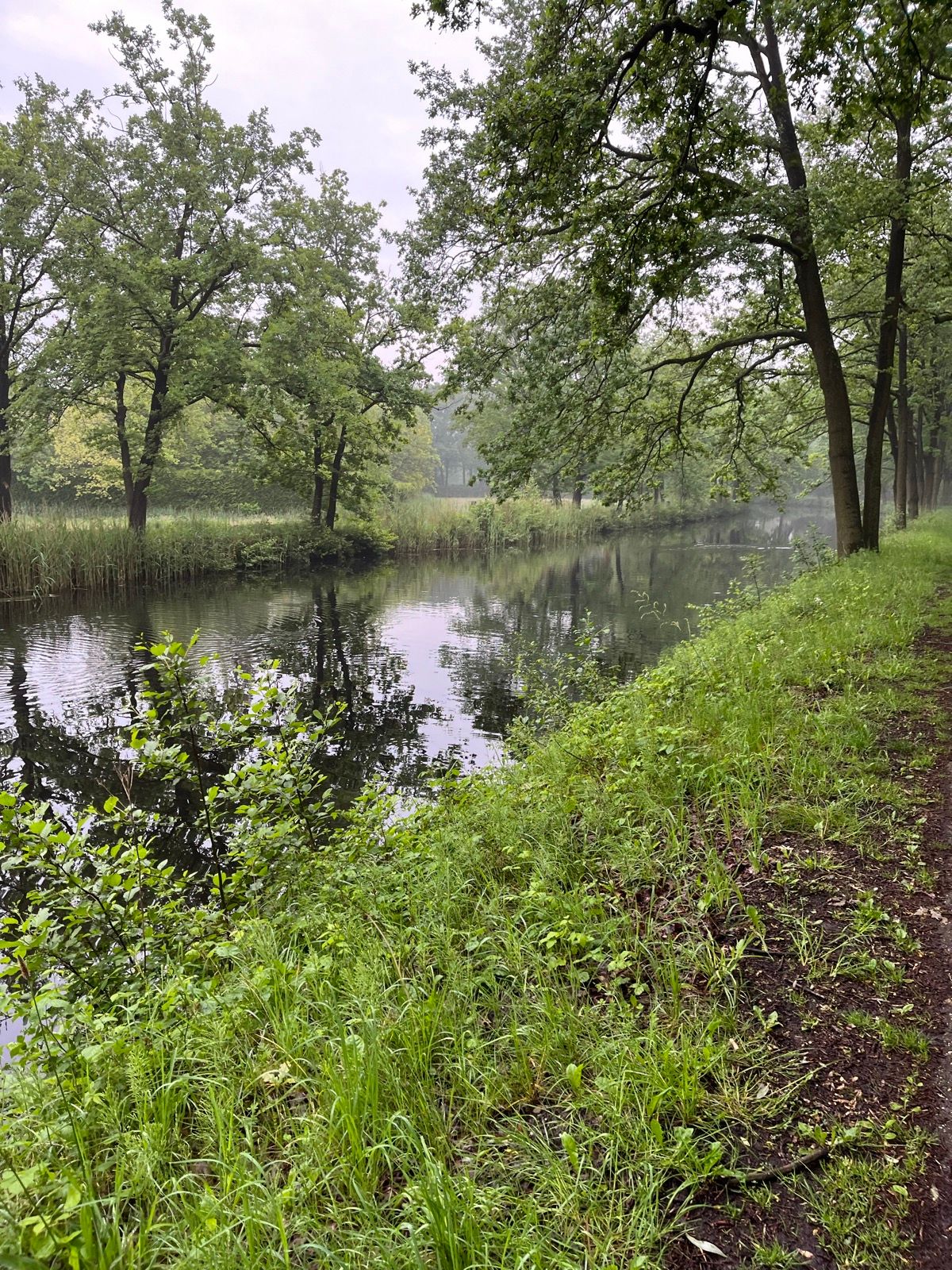 Elize Sturkenboom | Strava Runner Profile