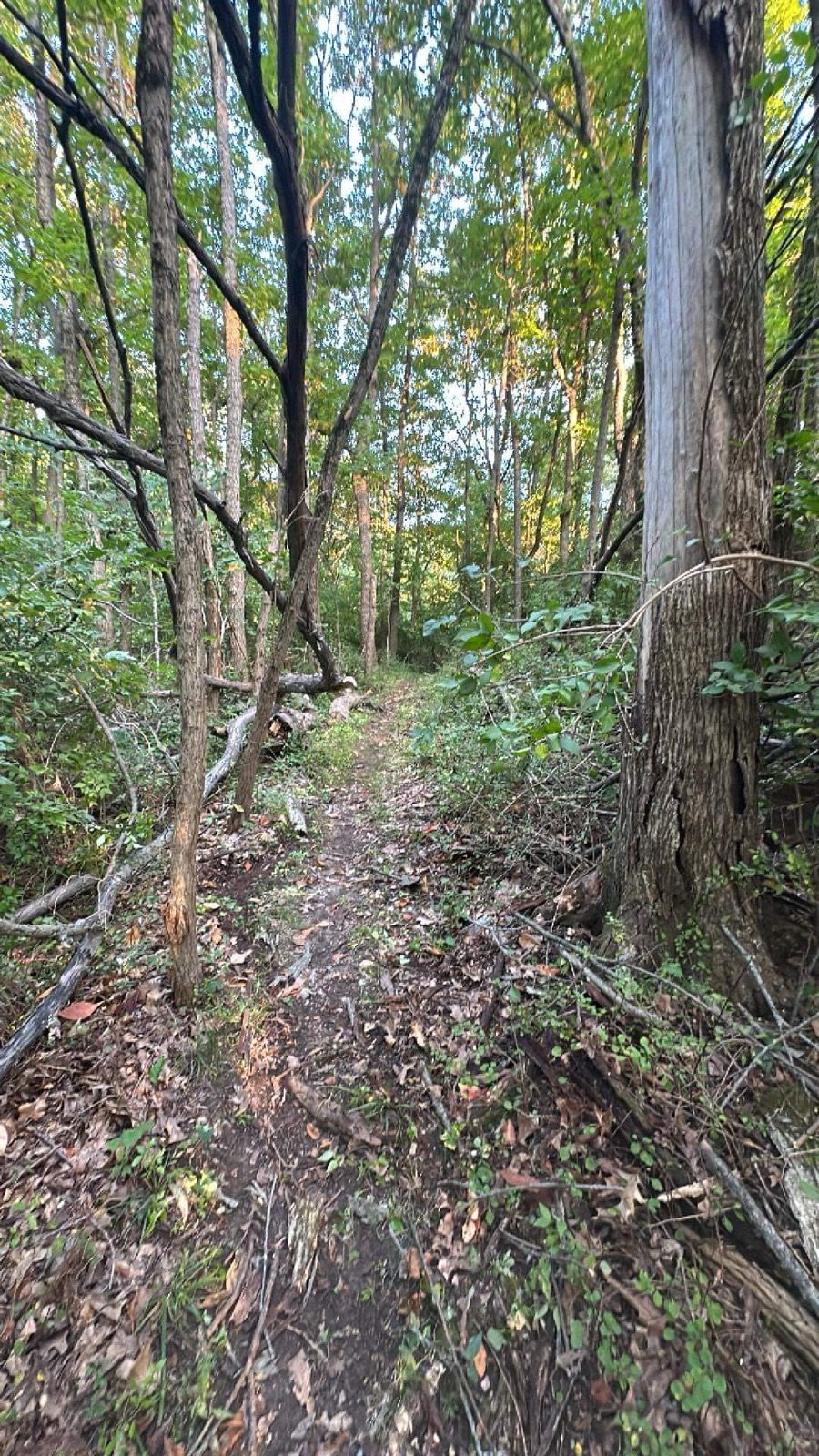 Michael Prahl | Strava Cyclist Profile