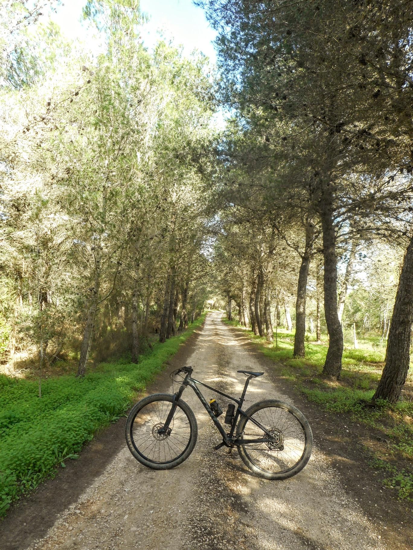 Steve Hyett | Profil de cycliste Strava