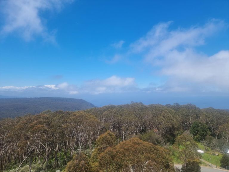 Mt Donna Buang Trails | 12.1 km Running Route on Strava