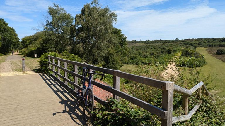 50km New Forest Loop | 50.5 km Cycling Route on Strava
